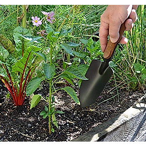 Olmsted Forge Garden Tool Set, 5 Pieces, Heavy Duty Powder Coated Steel, Cork Handle