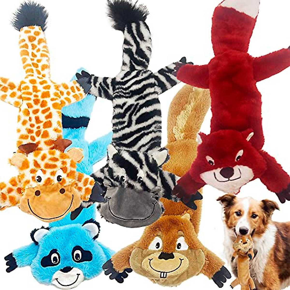 Jalousie Multipack Stuffingless Dog Squeaky Toys Dog Toy Dog with Durable Liner No Stuffing Dog Toy - Dog Toys for Pets Dogs for Small Medium Large Dogs (Medium to Large - 5 Pack)