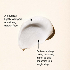 Jurlique Radiant Skin Foaming Facial Cleanser , 2.8 Oz (Pack of 1)