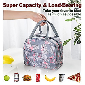 WOOMADA Insulated Lunch Bag for Women Men Reusable Waterproof Lunch Box Cooler Tote Bag with Pockets for Office Work, Picnic, Travel (flamingo)