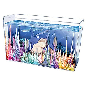 Toysmith Magic Rocks Instant Crystal Growing Kit (Assorted Styles)