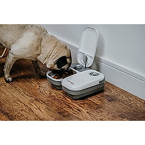 Bundle of Cat Mate C200 Automatic 2 Meal Pet Feeder, 2X Stainless Steel Bowl Inserts, and Extra Cat Mate Ice Pack