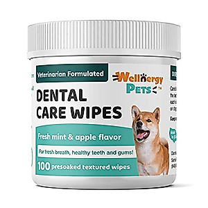 Wellnergy Pets Dental Wipes for Dogs and Cats - No Brush Formula; Improve Oral Hygiene and Health; Freshen Breath; Fresh Mint Flavor. 100 Wipes.