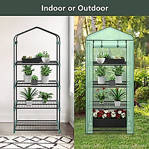 4 Tier Mini Greenhouse Indoor Outdoor with PE Cover and Roll-Up Zipper Door, Portable Waterproof Cloth Greenhouse Tent Grow Seeds & Seedlings, 2.3x1.5x5.3 FT