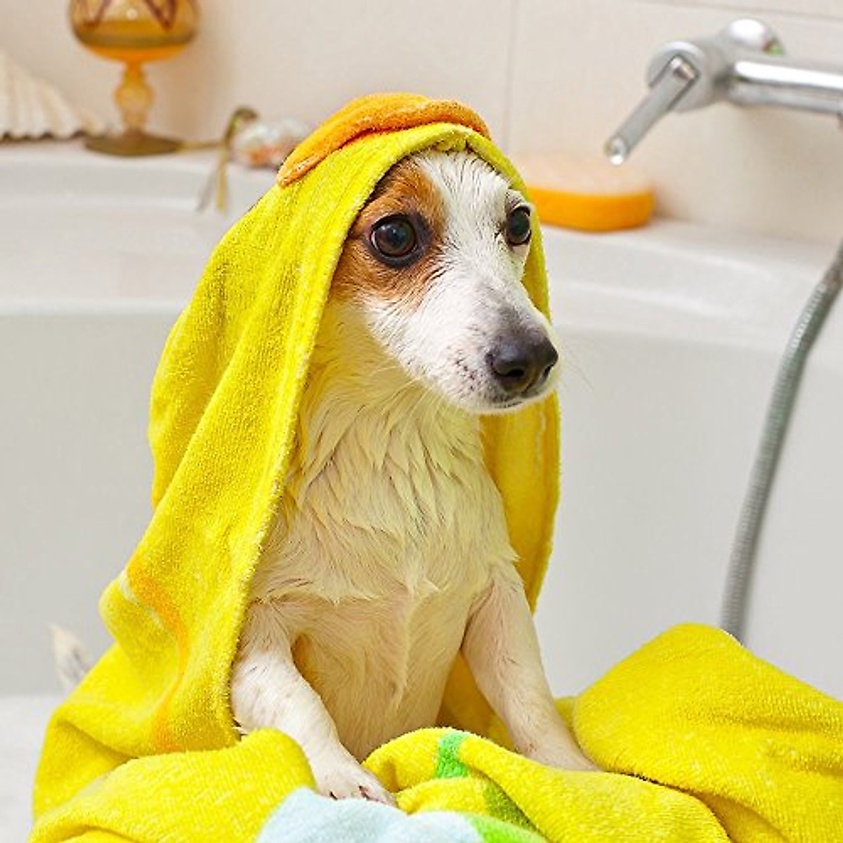 Vet's Best Medicated Oatmeal Shampoo for Dogs | Soothes Dog Dry Skin | Cleans, Moisturizes, and Conditions Skin and Coat | 16 Ounces