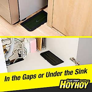 HOY HOY Regular Size Rat & Mouse Indoor/Outdoor Glue Trap 2 Traps [1 Pack] - Heavy-Duty Professional Strength Ready-to-Use Pest Control, Kids & Pets Friendly Household Pests & Insects