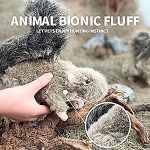 ALL FOR PAWS Classic Squirrel Pet Toys, Small