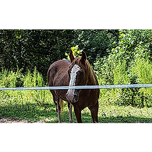 SGT Knots High Visibility Electric Fence Poly Tape - Electric Twisted Poly Pro - Long Lasting 5 Stainless Steel Conductors (1/2" x 656ft, 1 Spool - White)