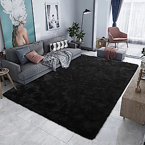 HQAYW Fluffy Area Rug for Bedroom Living Room, Ultra Soft Shaggy Rugs Shag Fur Carpets for Kids Girls Nursery Room Plush Fuzzy Rug Cute Home Decor Rug, 2' x 3', Black