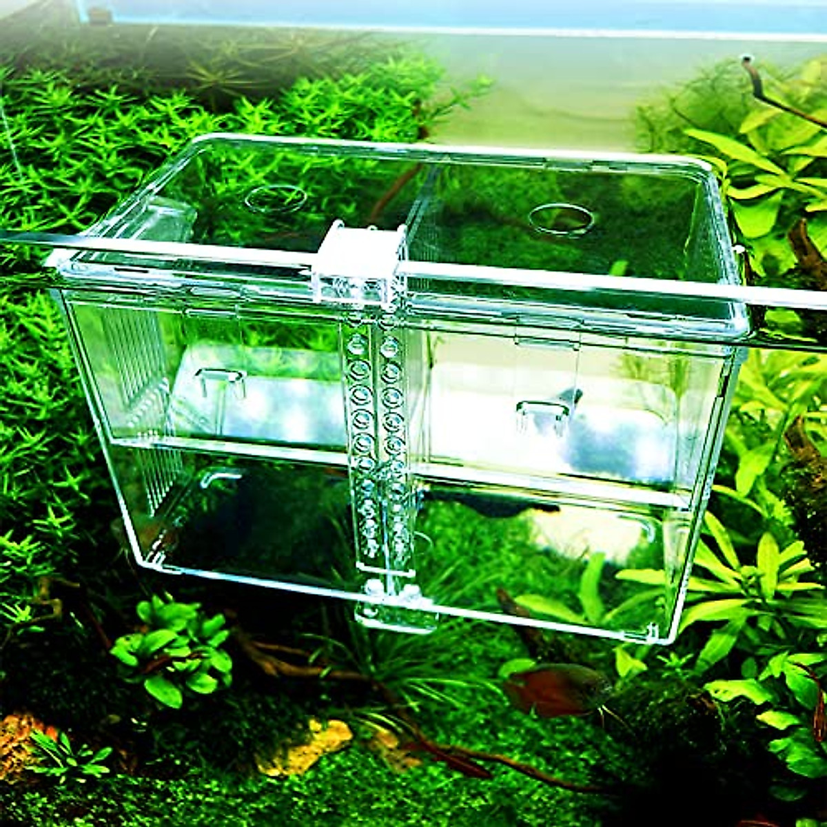 XEOGUIYA Acrylic Aquarium Breeder Box Hang on Back, Isolation Hatchery Feeding Boxes for Small Fish Fry Hatchery