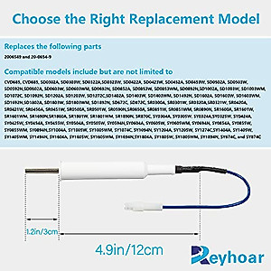 2006549 Water Level Probe Replacement Part for Manitowoc Ice Machines by Rayhoor - Replaces 2006549 & 20-0654-9