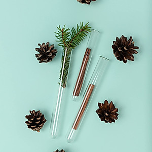 Merkunis 250 Pcs Test Tubes Clear Plastic Test Tubes with Caps 16 x 100 mm (10 ml) Test Lab Tubes for Scientific Experiments, Scientific Themed Party Supplies, Plant Propagation, Spice Seed