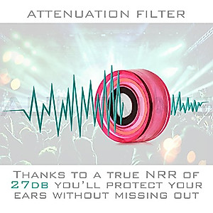 Audiomate High-Fidelity Earplugs with Metal Keychain Carry Case and 2 Interchangeable Earbuds Comfortable Soft Silicone HiFi Noise Attenuating Ear Plugs for Musicians, Concert, Sleeping & More