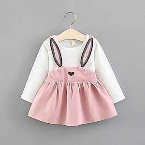 XFGLCK Toddler Kids Baby Girl Easter Outfit Long Sleeve Rabbit Style Dress Summer Clothes (Pink, 2-3 T)