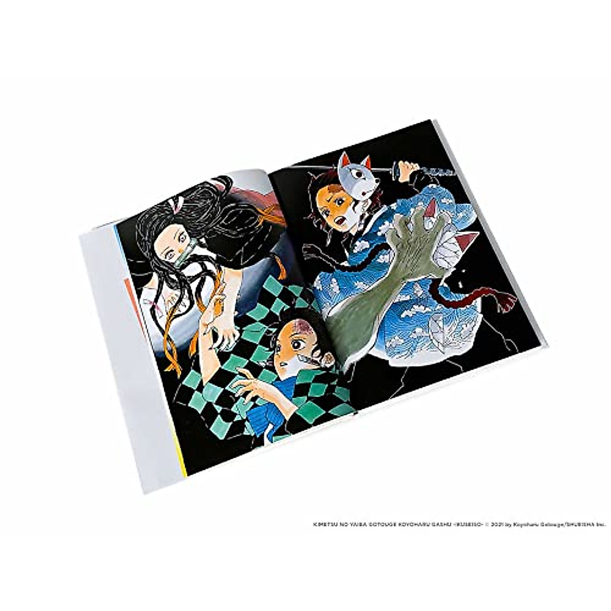 The Art of Demon Slayer: Kimetsu no Yaiba