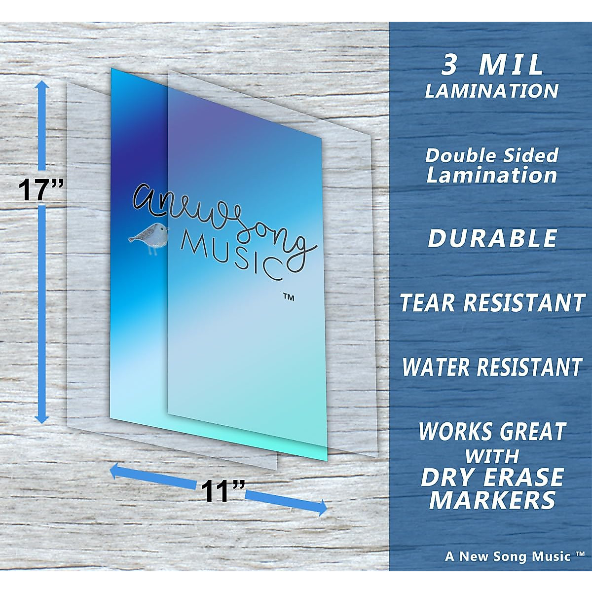 Laminated Viola Fingerboard Note Instructional Chart - Poster includes Circle of 5ths & Nashville Numbering System 11x17 | A New Song Music