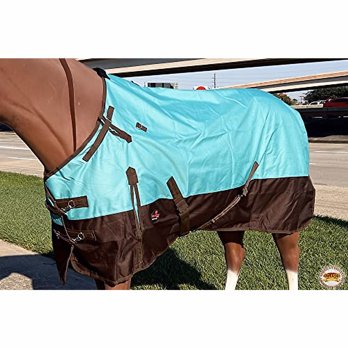 HILASON 1200D Turnout Light Winter Waterproof Rain Sheet Horse Sheet | Horse Sheet | Horse Turnout Sheet | Horse Sheets for Winter | Waterproof Turnout Sheets for Horses