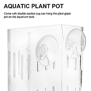 Mipcase Aquatic Plant Cup- Acrylic Fish Tank Water Plants Planter, Aquarium Planter Holder with Suction Cup, Aquarium Fish Tank Frame