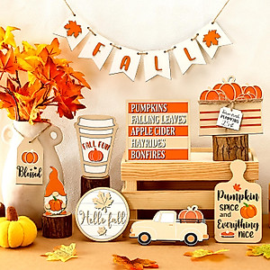 Umigy 14 Pcs Thanksgiving Tiered Tray Decorations Set Fall Pumpkin Farmhouse Table Decor Autumn Gnome Truck Wooden Sign Hello Fall Rustic Table Centerpieces Harvest Wood Blocks Signs for Home Decor