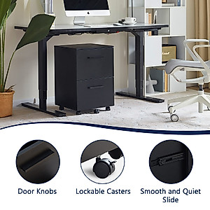 VICLLAX 2 Drawer Mobile Filing Cabinet, Vertical File Cabinet for Legal/Letter/A4 Files, Assembled Needed, Black