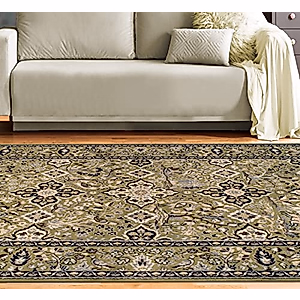 BNM Indoor Large Area Rug with Jute Backing, Traditional Geometric Floral Carpet Decor, Perfect for Living/Dining Room, Kitchen, Bedroom, Office, Hardwood, Entry, Radcliff Collection, 8' x 10'