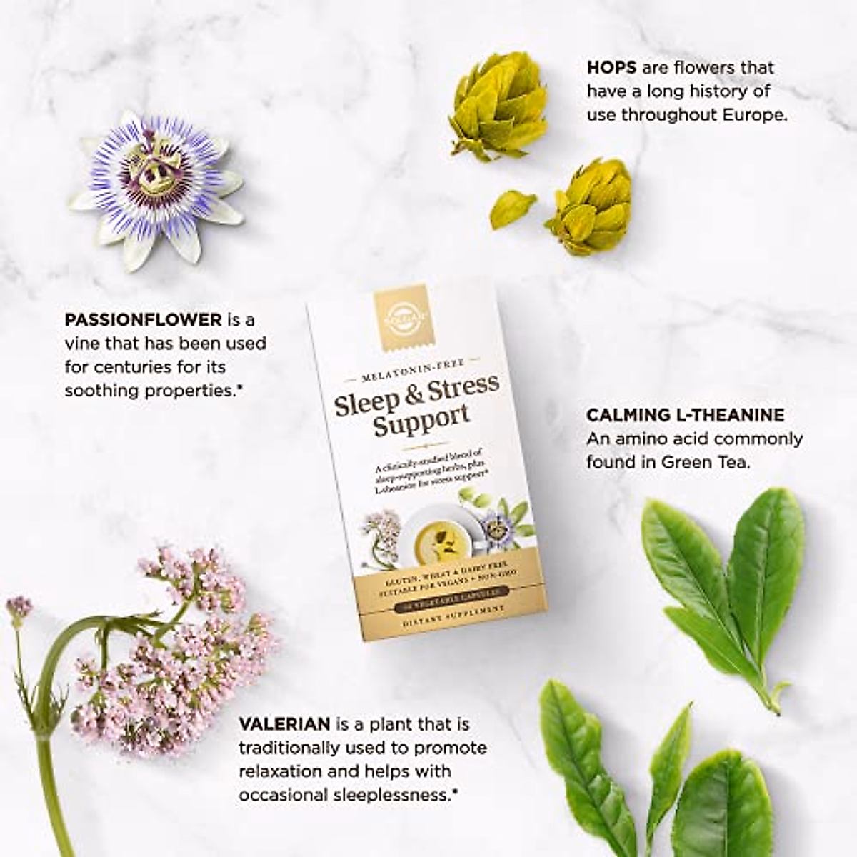 Solgar Sleep & Stress Support, 60 Vegetable Capsules – Melatonin-Free – Helps Relax & Calm You – Fall Asleep Quickly – Improve Sleep Quality – With Valerian, Passionflower & Hops, Non-GMO, 30 servings