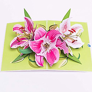 TRUANCE Pop Up Greeting Card Lily Flower- 3D Cards For Birthday, Anniversary, Mothers Day, Thank You Cards, Card for Mom, Congratulation Card, Love Card, All Occasion