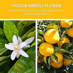 ColorProof SuperPlump Volumizing Shampoo: Volume Boosting, Lightweight, Moisturizing Hair Shampoo, Safe for Color-Treated Hair, Cruelty-Free, Vegan, Sulfate-Free, Salt-Free, Hair Color Maintenance