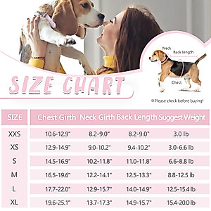 Paipeper Dog's Recovery Suit Post Surgery Shirt for Puppy, Small Dog Surgical Recovery Suit for Female Male Dogs, Dog Onesie Protect Surgical Wound(Pink White Stripe-s)