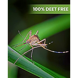 Mosland Naturals Mosquito Repellent Incense Sticks, 12 Large Citronella Incense Sticks Bug Repellent Incense Stick for Outdoor, Camping Mosquito Repellent 3 Hours Protect