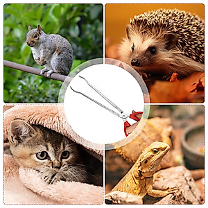 Reptile Feeding Tongs, 15 Inch Snake Feeding Tongs Anti-Skid Easy-Grip Extra Long Tweezers for Terrarium Corn Ball Python Accessories Axolotl Bearded Dragon Feeding Supplies