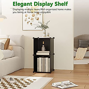 C&AHOME Cube Storage, 2-Cube Organizer Units, Plastic Closet Storage Shelves, DIY Book Shelf, Modular Bookcase, Cabinet Ideal for Bedroom, Living Room, Home Office, 12.4" L x 12.4" W x 24.8" H Black