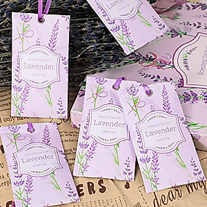 Scented Sachets, Lavender Sachets, Home Fragrance Sachets Gift Set, Sneaker Deodorizer Balls, Sneaker Odor Balls