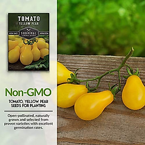 Survival Garden Seeds - Yellow Pear Tomato Seed for Planting - Packet with Instructions to Plant and Grow Golden Tomatoes in Your Home Vegetable Garden - Non-GMO Heirloom Variety