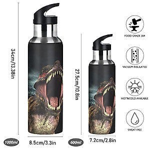 ALAZA Dinosaur Tyrannosaurus Rex Water Bottle with Straw Lid Vacuum Insulated Stainless Steel Thermo Flask Water Bottle 20oz