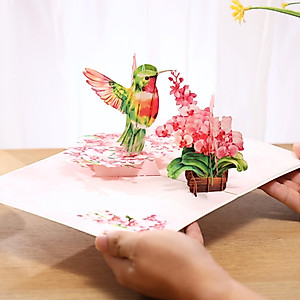 Birthday Card for Women, 3D Hummingbird Orchid Flower Pop Up Birthday Cards for Mom, Wife, Daughter, Her, Sister, Girlfriend, Grandma, Mother's day, Thank You, Anniversary, Valentine's Day Cards
