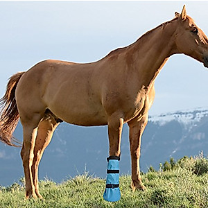 yeezo Horse Hoof Soaking Boot Hooves Soaker Bag for Treating Common Hoof Ailments with EVA Pad