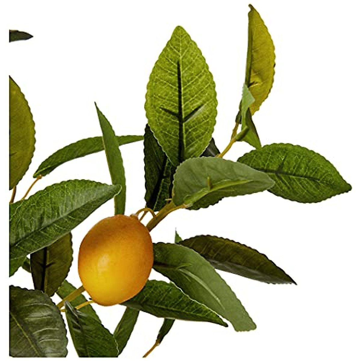 Amazon Brand - Stone & Beam Artificial Lemon Citrus Tree with Ceramic Pot, 2 Feet (24 Inches), Indoor