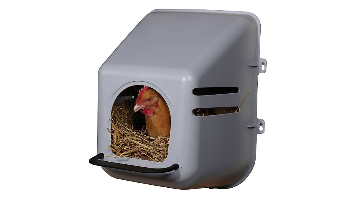 Little Giant Plastic Chicken Nesting Box for Easy Coop Maintenance