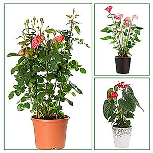 JJZJ 15.8 Inches Single Stem Plant Support Stakes Steel Garden Stakes, Pack of 10