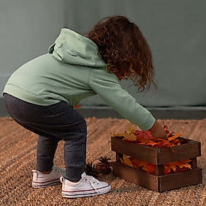 Gerber Baby Boys Toddler Zip Hoodie & Joggers Clothing Set Fox Green 0-3 Months