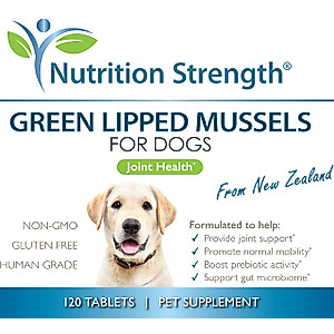 Nutrition Strength Green Lipped Mussels for Dogs for Joint Support & Inflammatory Relief, Promote Normal Mobility & Flexibility, Boost Prebiotic Activity, Support Gut Microbiome, 120 Chewable Tablets