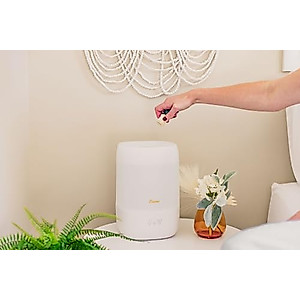 Crane Ultra-Quiet 3-in-1 Humidifier, Essential Oil Aroma Diffuser & Soothing Sleep Light - Compact 1 Gallon Capacity with Adjustable Night Light & Fragrance Tray - Ideal for Bedroom and Office