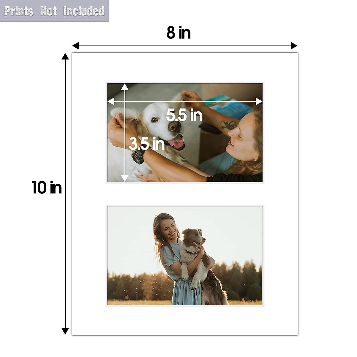 Golden State Art, Bevel Cut Mats for Two Photos, Acid-Free White Core for Photographs, Prints, Artworks - Great for Graduations, Frames (White, 8x10 Mats for 4x6 Pictures, Pack of 10)