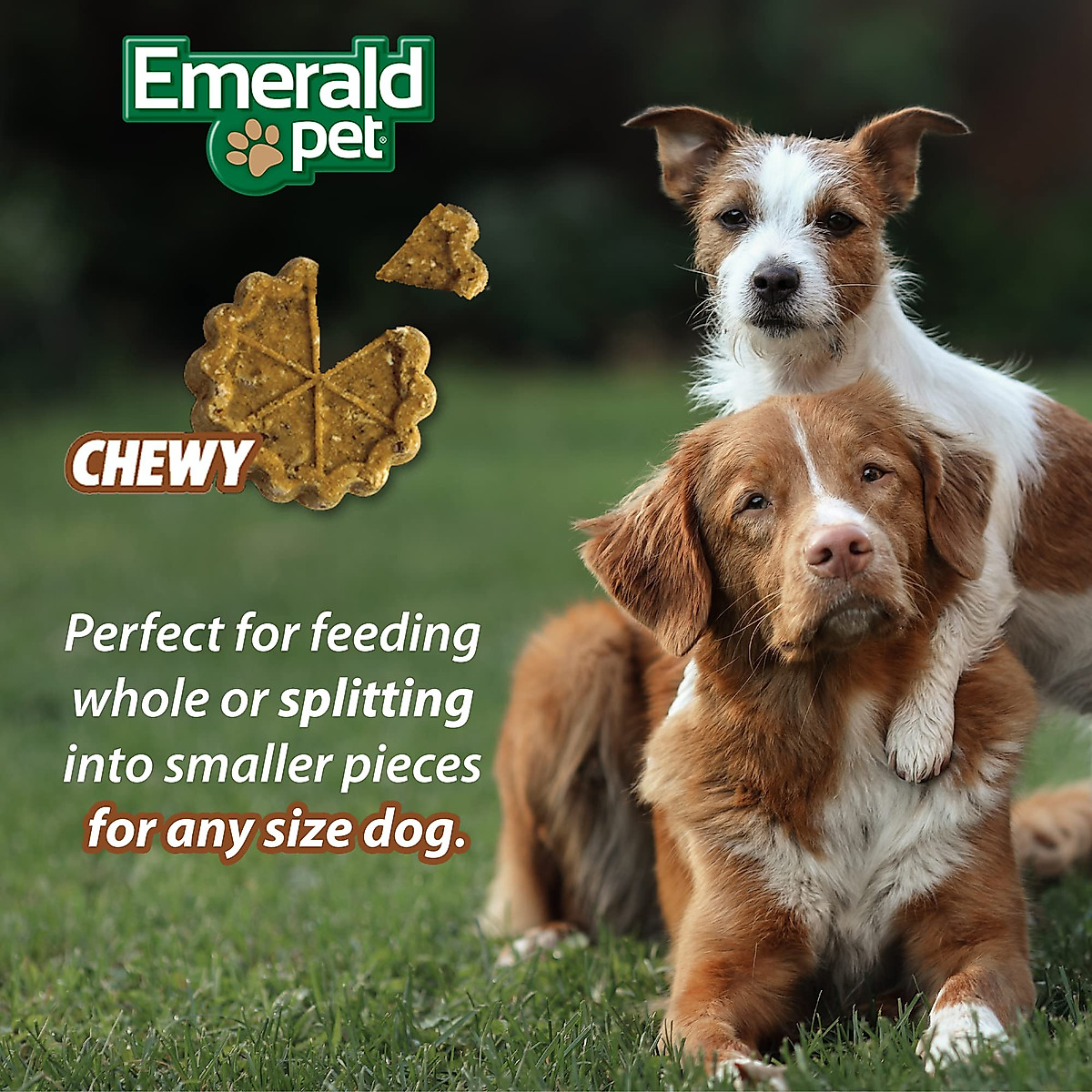 Emerald Pet Quiche Royale Premium Training Dog Treats — Healthy and Tasty Natural Dog Chews Made with Real Eggs — Limited Ingredient Dog Treats Made in The USA — Garden Veggie Treats, 6 oz