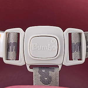 Bumbo B10013 Baby Infant Soft Foam Comfortable Wide Floor Seat with 3 Point Adjustable Harness, Grape Purple