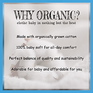 Little Fortune Cookie Funny Baby Onesie, Chinese Asian Food Newborn Bodysuit, Little Cookie Toddler Tee, Baby Shower Gift (Baby Onesie)