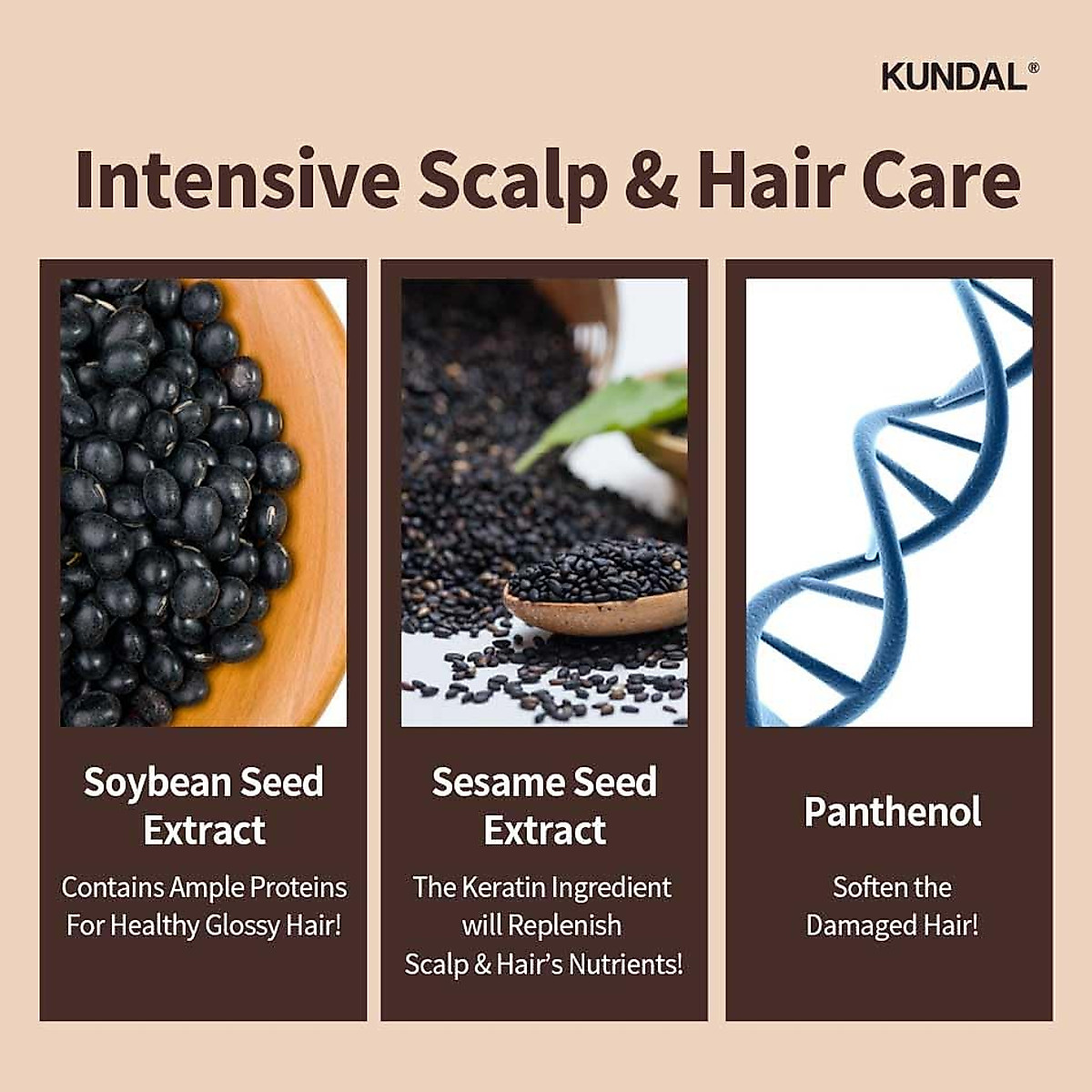 KUNDAL Blackberry Bay HONEY & MACADAMIA Hydro-Intensive Protein Premium Nature Shampoo & Treatment Set