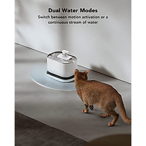 PETLIBRO Cat Water Fountain for Cats Inside,Wireless Pet Water Fountain,2.5L/84oz Dockstream Battery Operated Automatic Cat Fountains for Drinking with Wireless Pump,Easy Cleaning,BPA-Free for Cat Pet