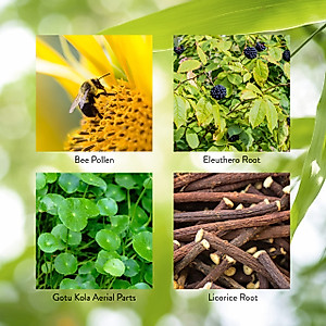 Nature's Sunshine Energ-V 100 Capsules